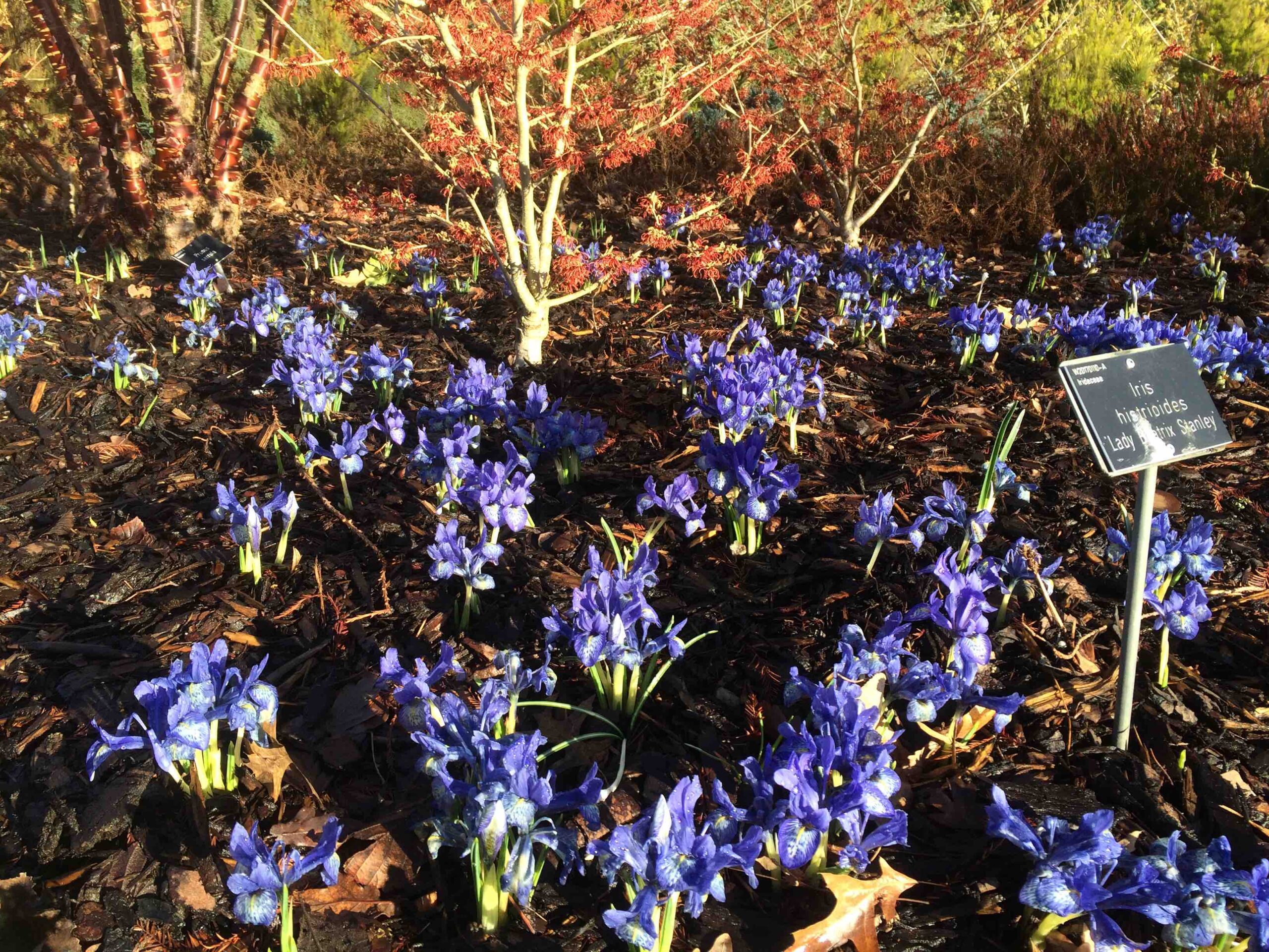 Laura's light bulb moment - The 3 Growbags