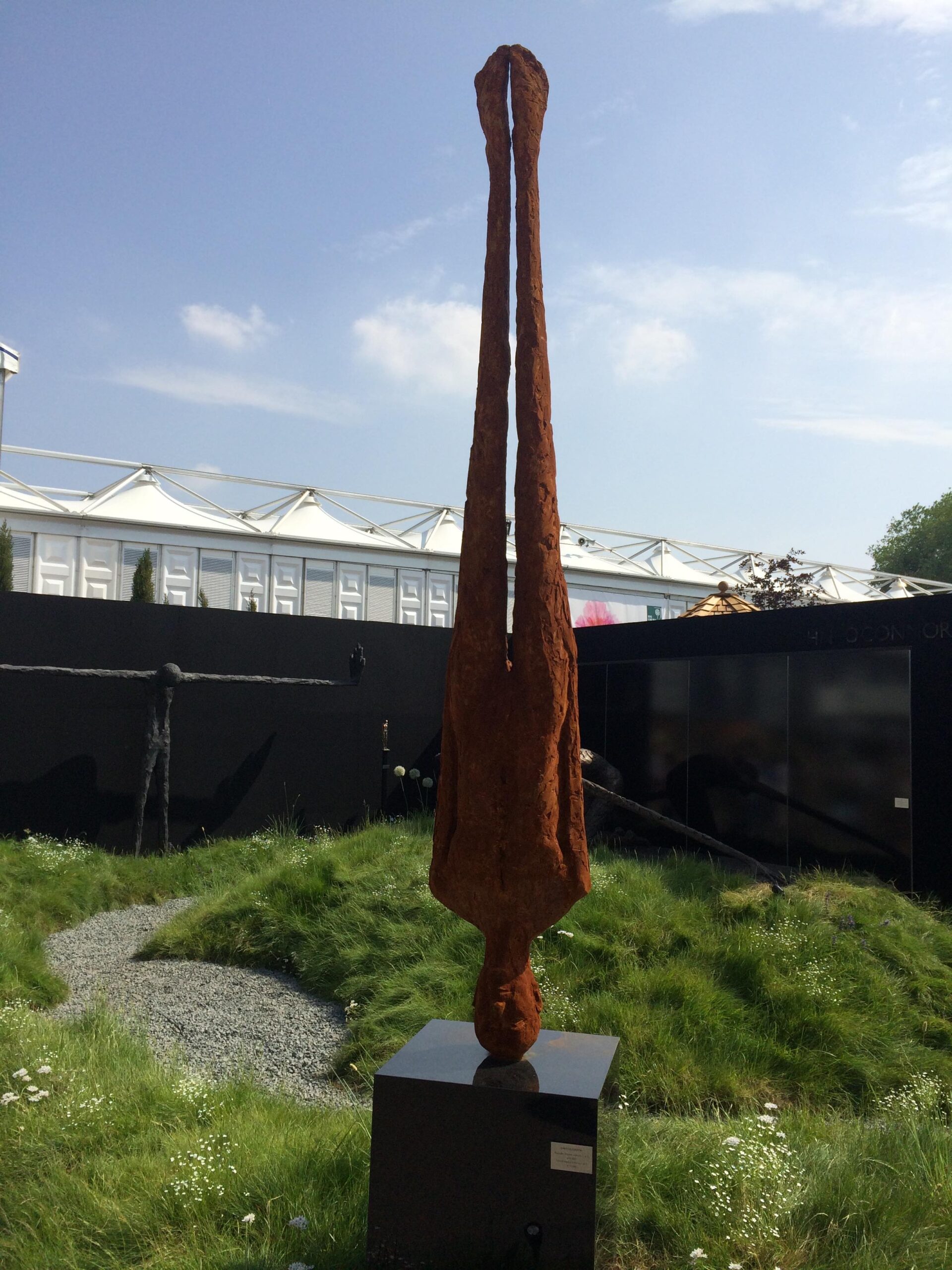 Three cheers for Chelsea - The 3 Growbags