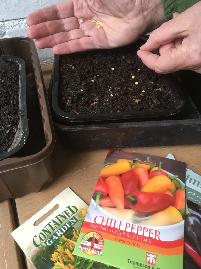 And the gardening year gets underway! Grow-how tips - The 3 Growbags