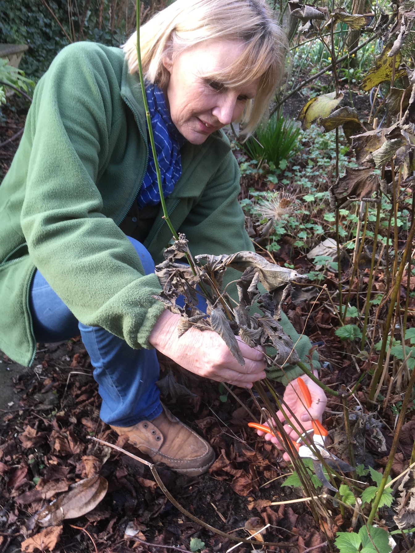 Gardening tips for a mad, mad March! - The 3 Growbags