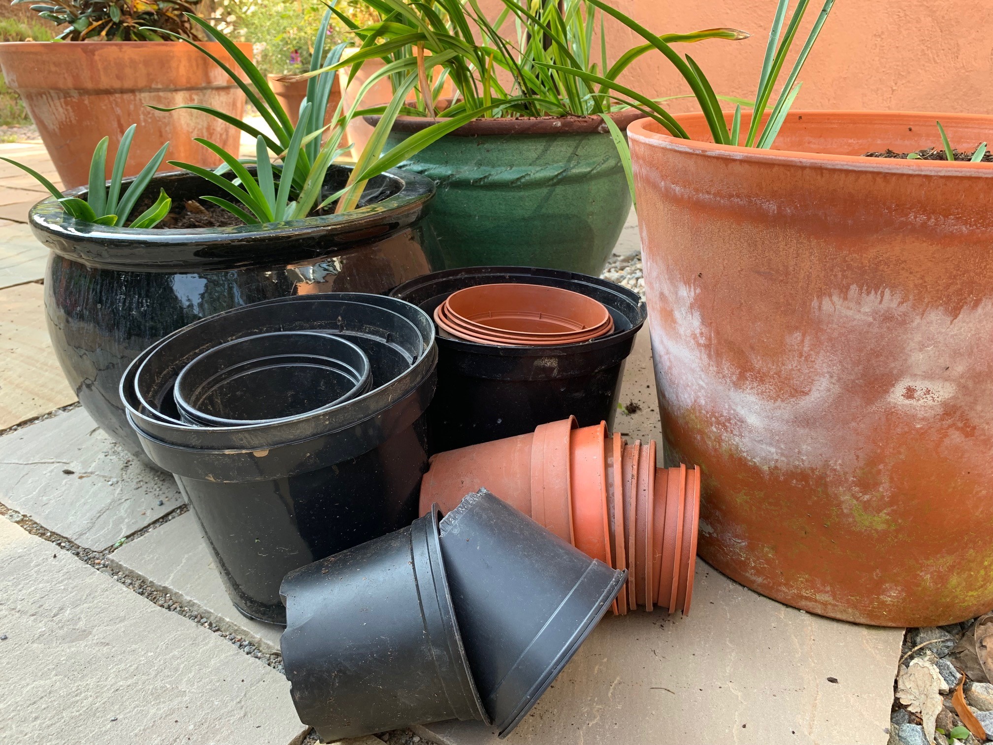 Stop the pots! - how can we cut down the use of plastic in the ...