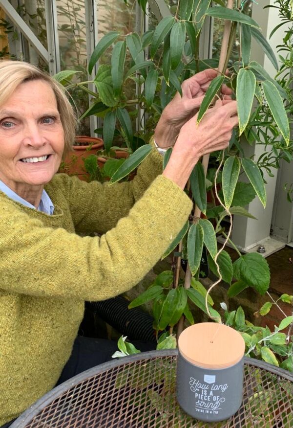 Trending now: a tropical garden make-over - The 3 Growbags