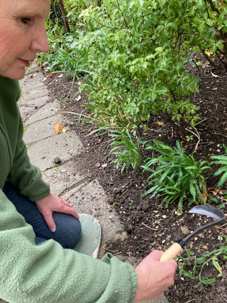 Razor hoe made by Burgon & Ball, the best garden tool you'll own